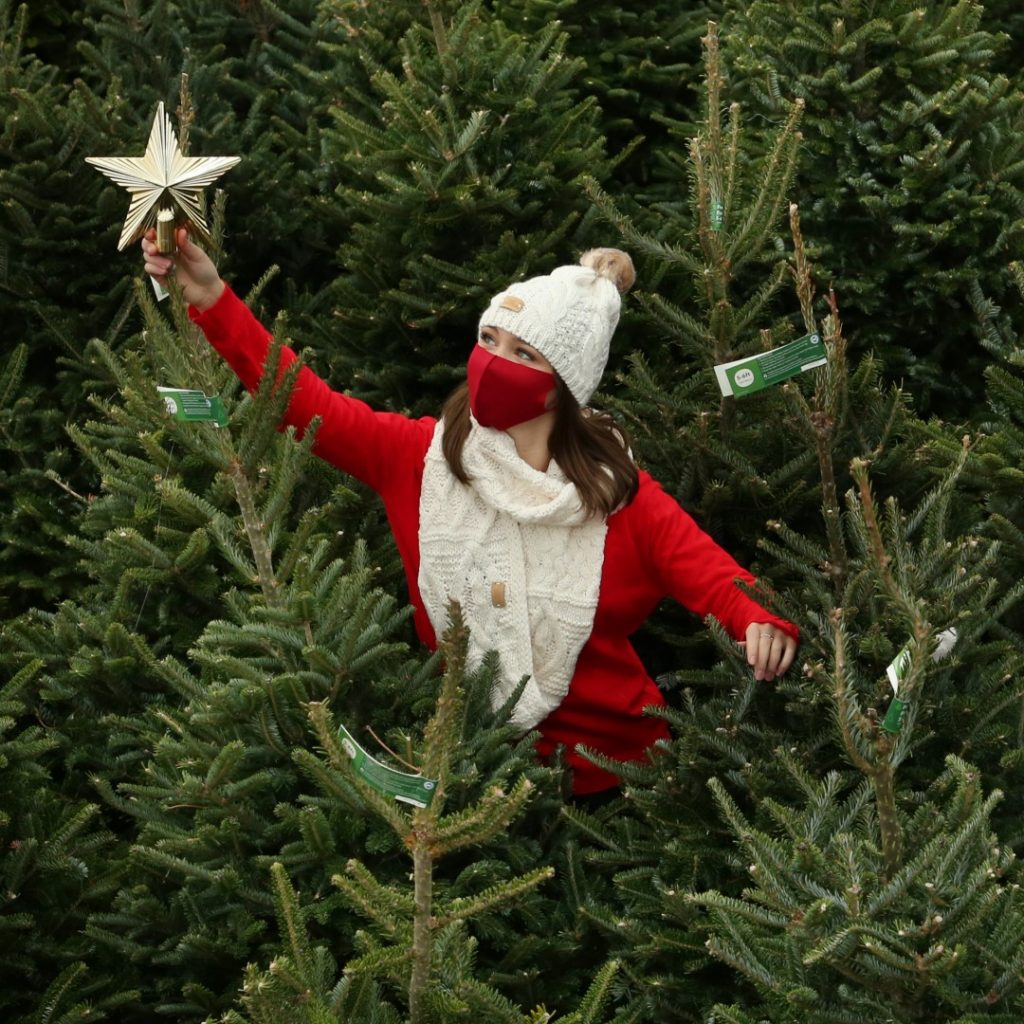 Dobbies Spreads Festive Joy This Christmas In York With New Campaign ...