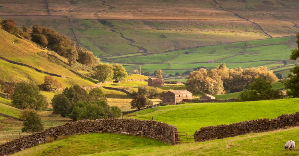 6 Things You Didn't Know About Farming In Yorkshire - The Yorkshire Press