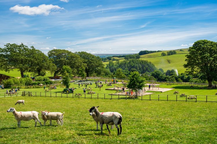6 Fantastic Yorkshire Farms To Visit With Kids - The Yorkshire Press
