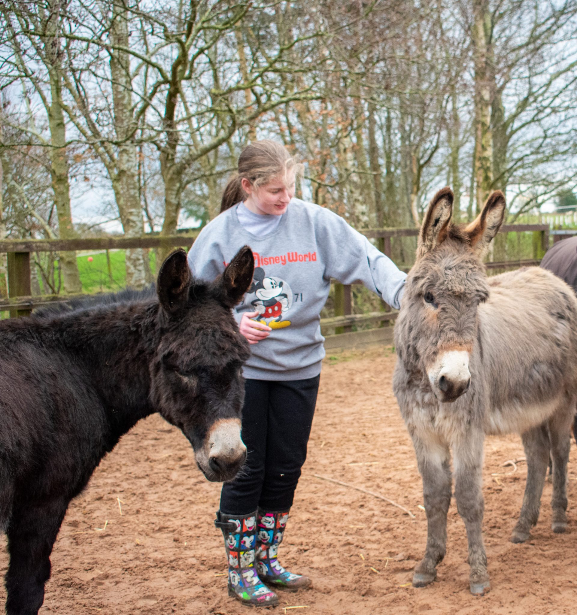 Leeds Donkeys Help Clara Find Her Smile - The Yorkshire Press