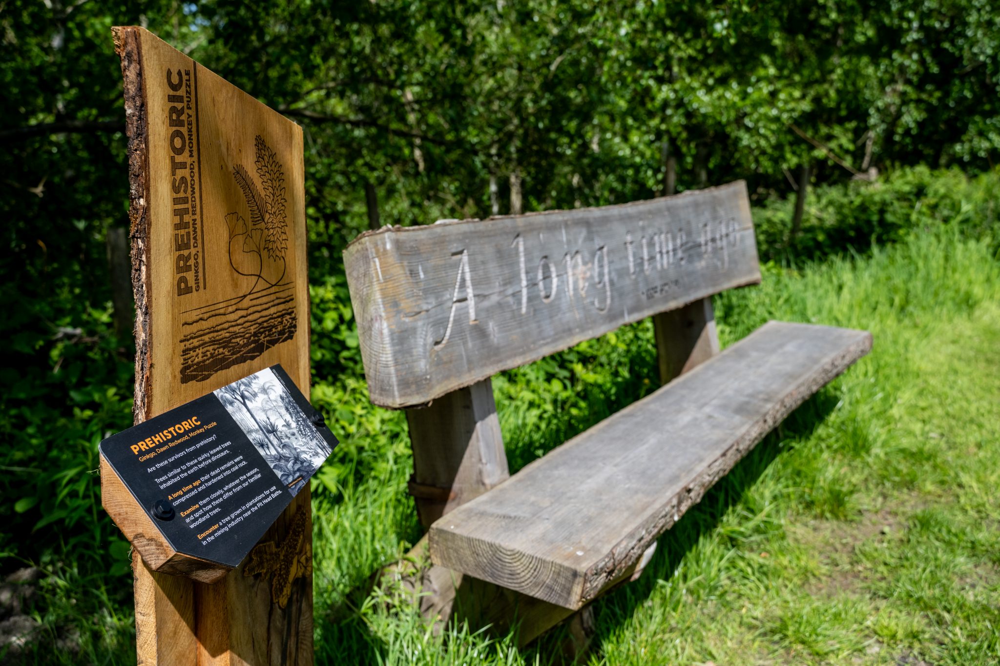 New Totem Tree Trail Opens At National Coal Mining Museum - The ...