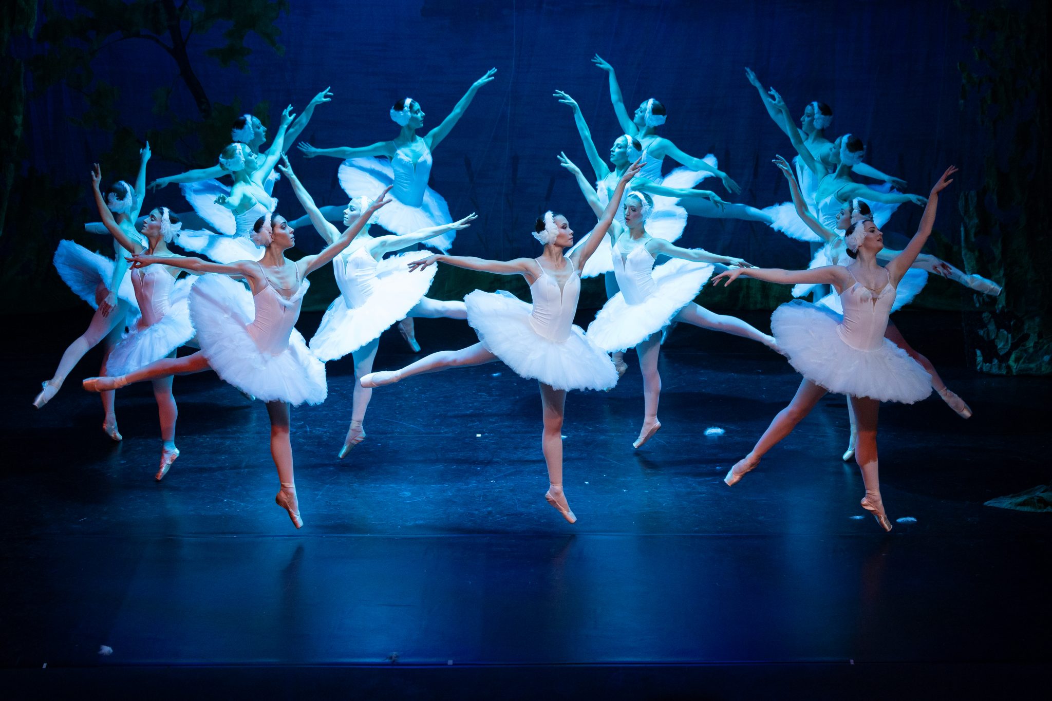 Swan Lake Set To Enchant Sheffield Audiences At The Lyceum - The ...