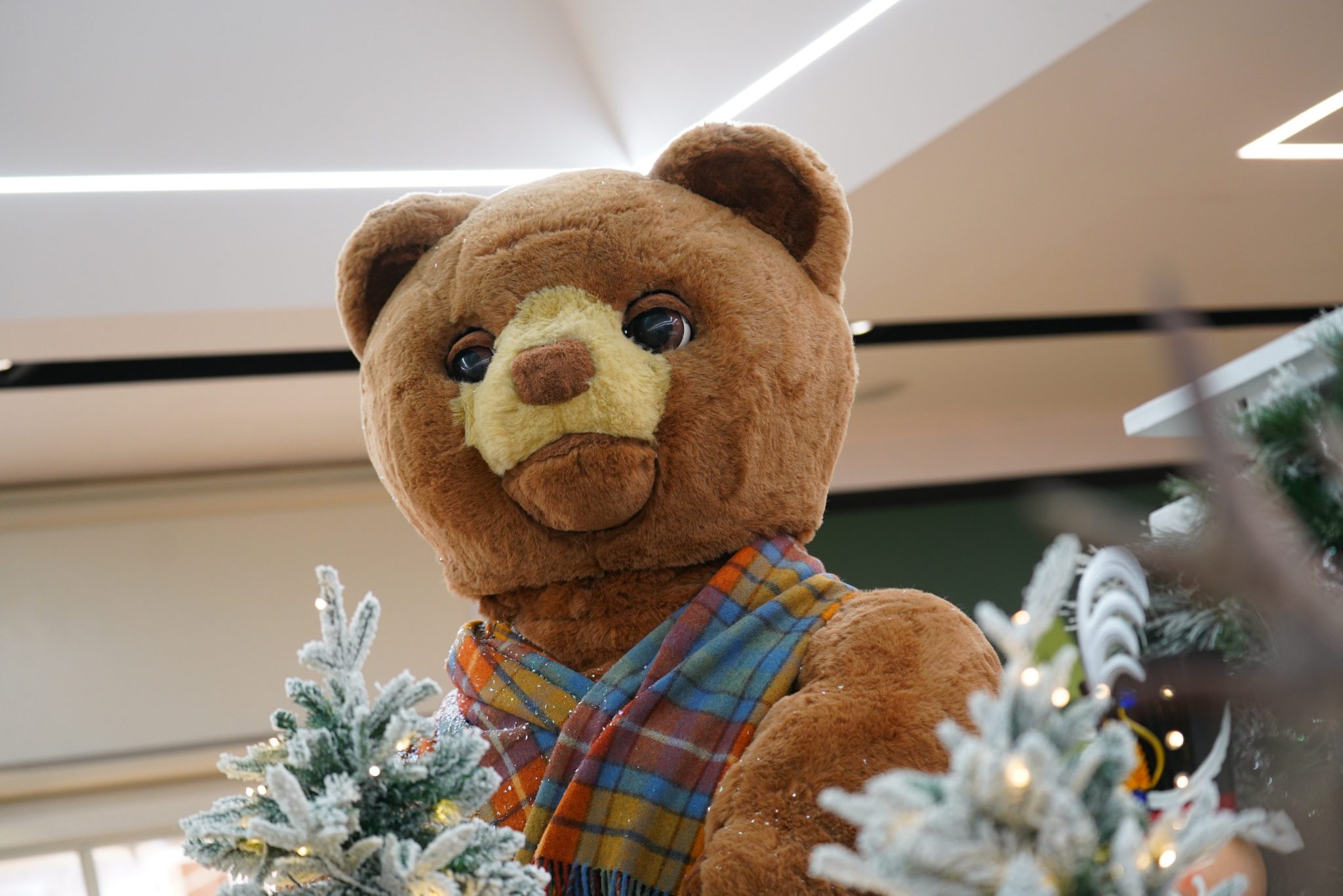 Meadowhall Brings Back Beloved Animatronic Christmas Bears - The ...