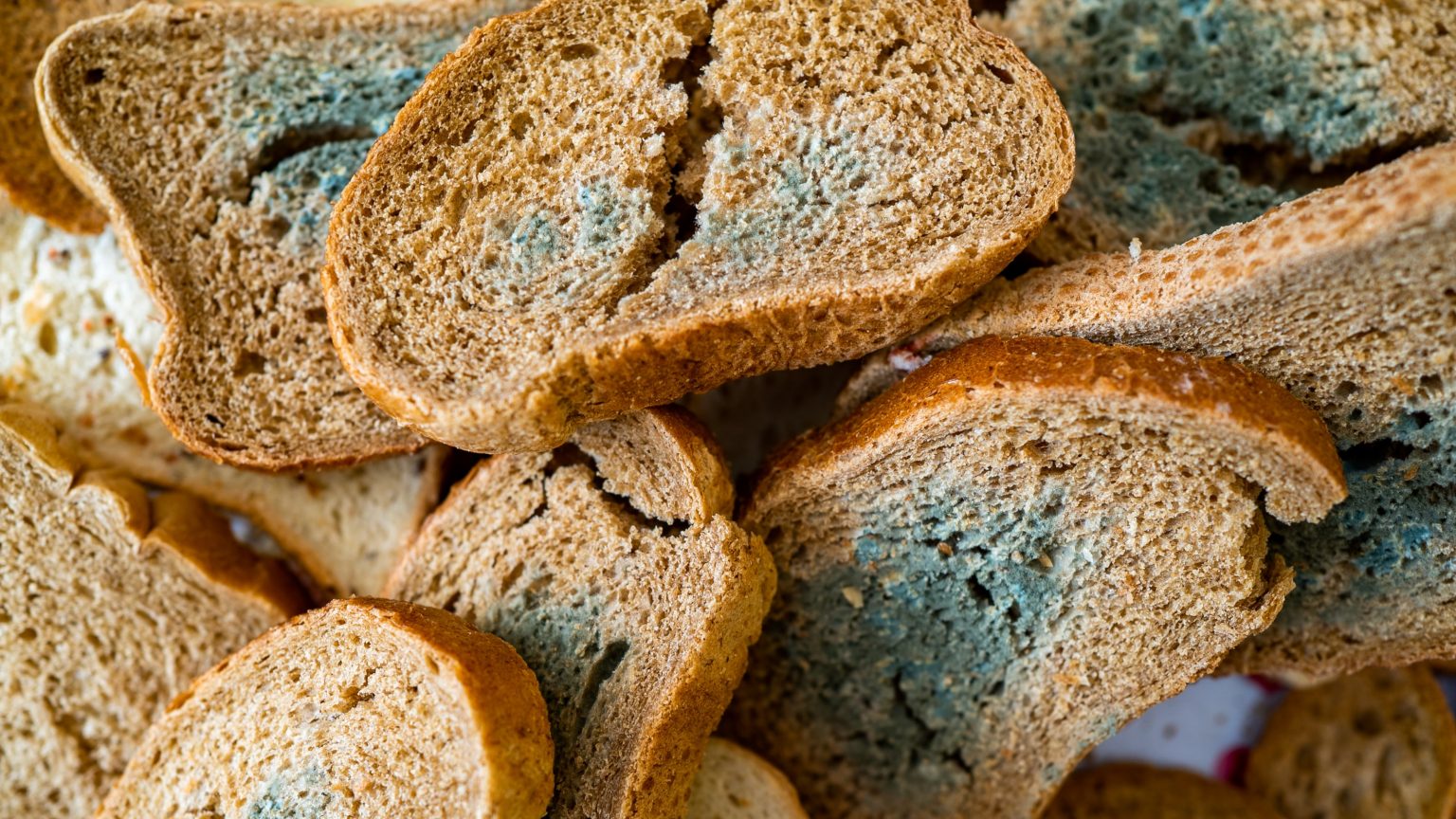 Food Experts Share Top 10 Tips To Prevent Spoilage And Cut Waste - The ...